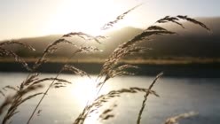 Inchcape Digital Delivery Center Philippines, Ground Floor, Robinsons ...