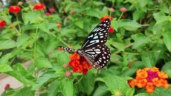 Lisa's Cosmetics, 135 COMMERCE VALLEY Drive EAST, Markham, ON (2025)